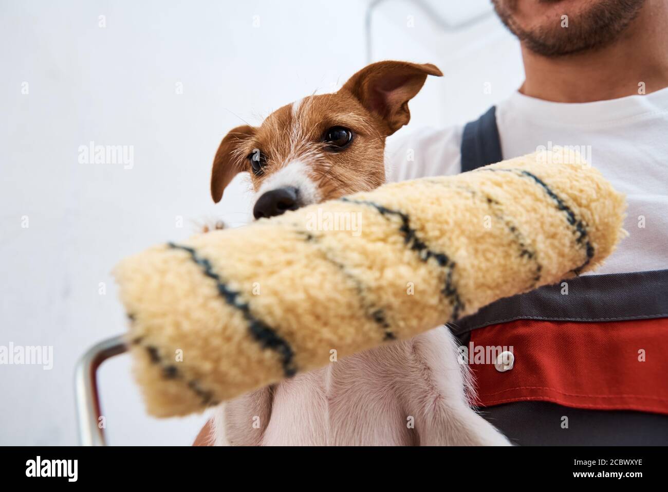 Man with his dog doing renovation work in the room. Good relationship ...