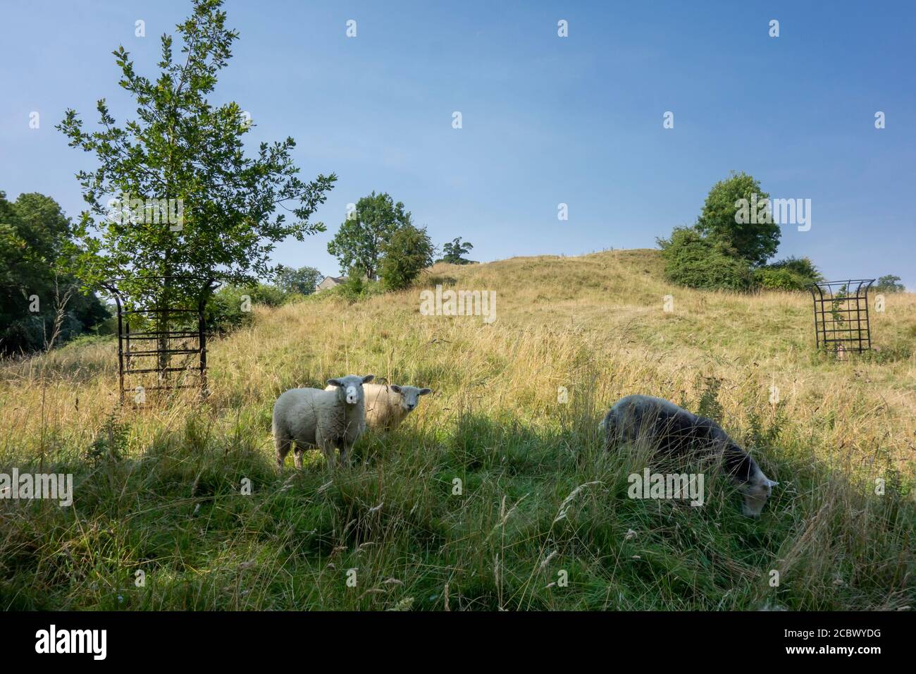Wadenhoe Castle mound Stock Photo - Alamy
