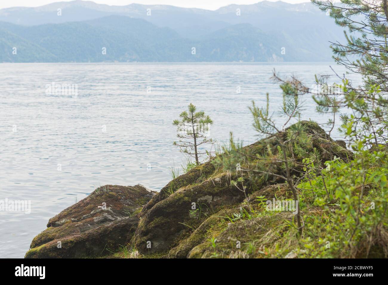 Lake Teletskoye with calm water on a summer day .Altai territory Stock ...