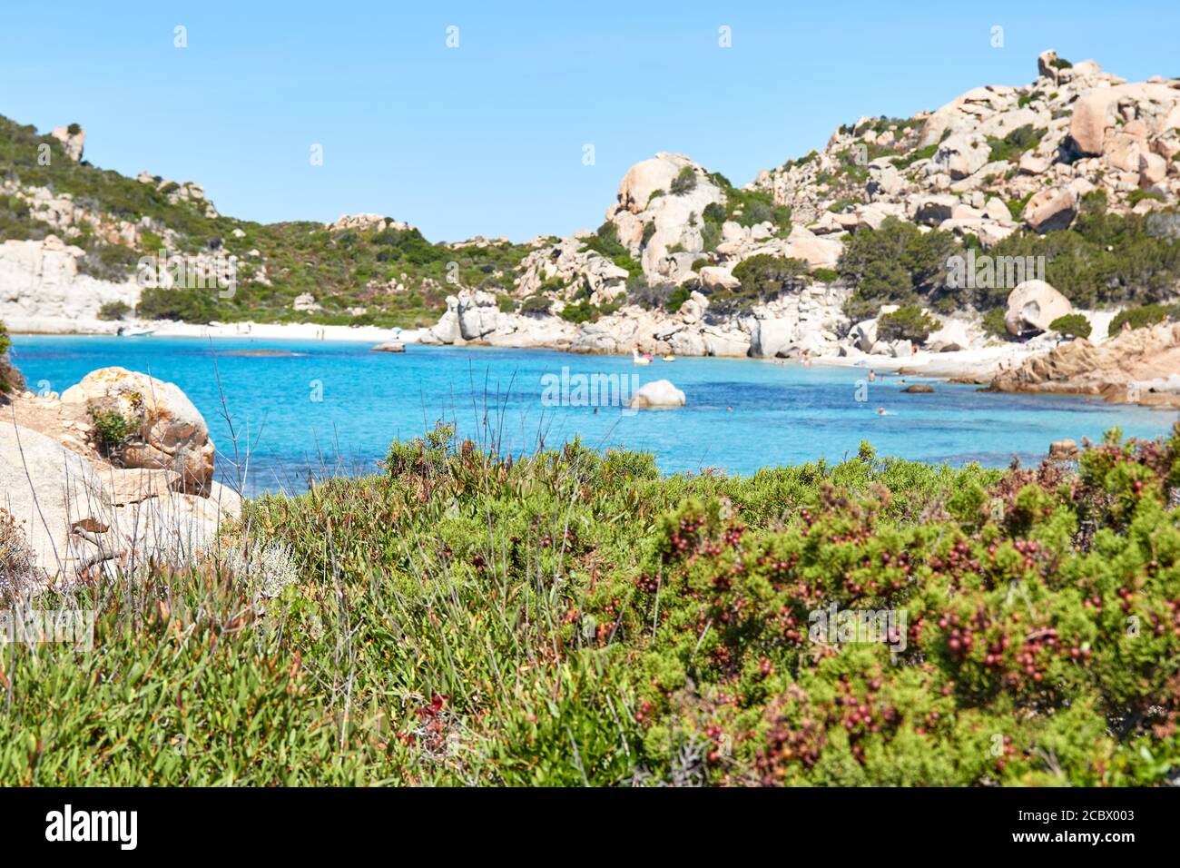 Isola Spargi island, view from top of the hill for cyan immaculate ...