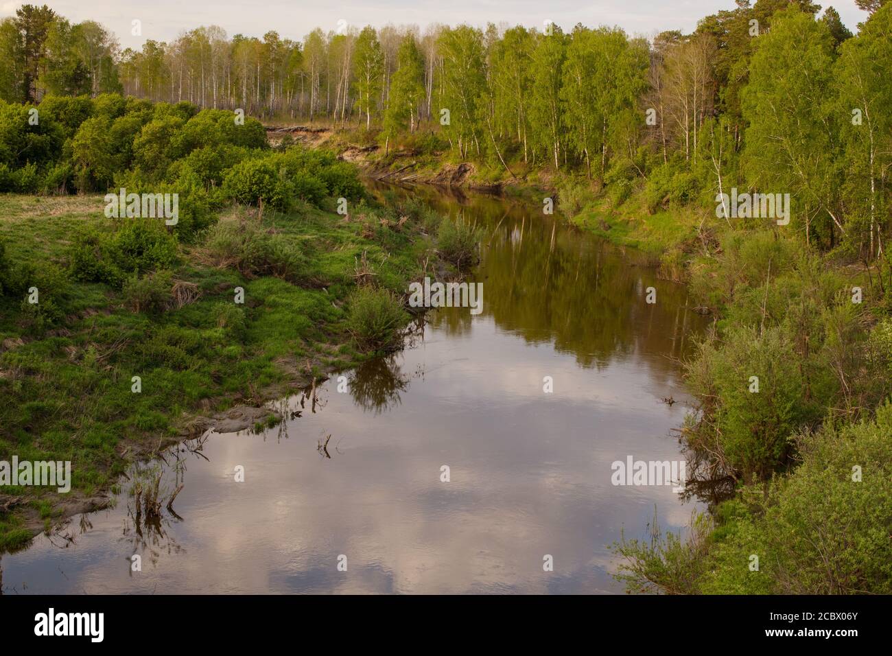 Siberian taiga forest hi-res stock photography and images - Alamy