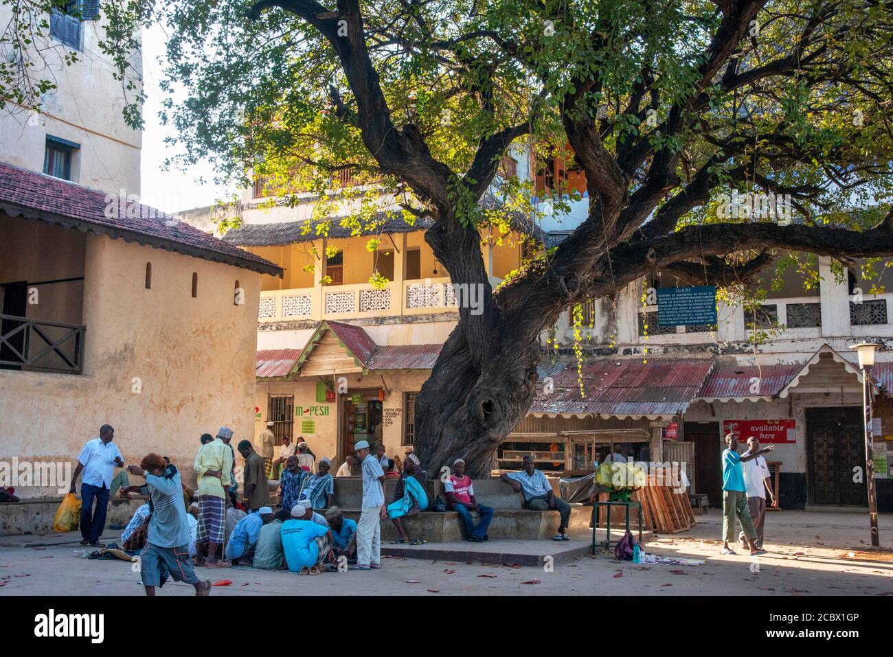 Kenya, Lamu Island. The open, shady square outside Lamu Fort Plaza ...