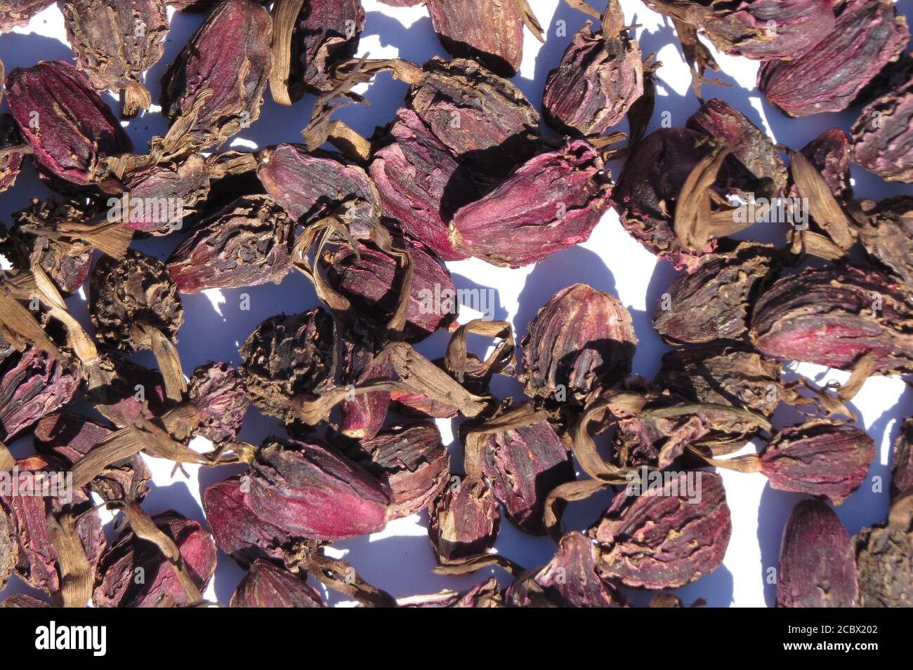 Nepali cardamom hi-res stock photography and images - Alamy