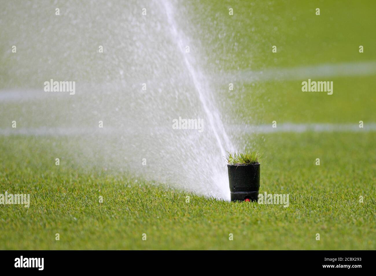 Watersprinkler hi-res stock photography and images - Alamy