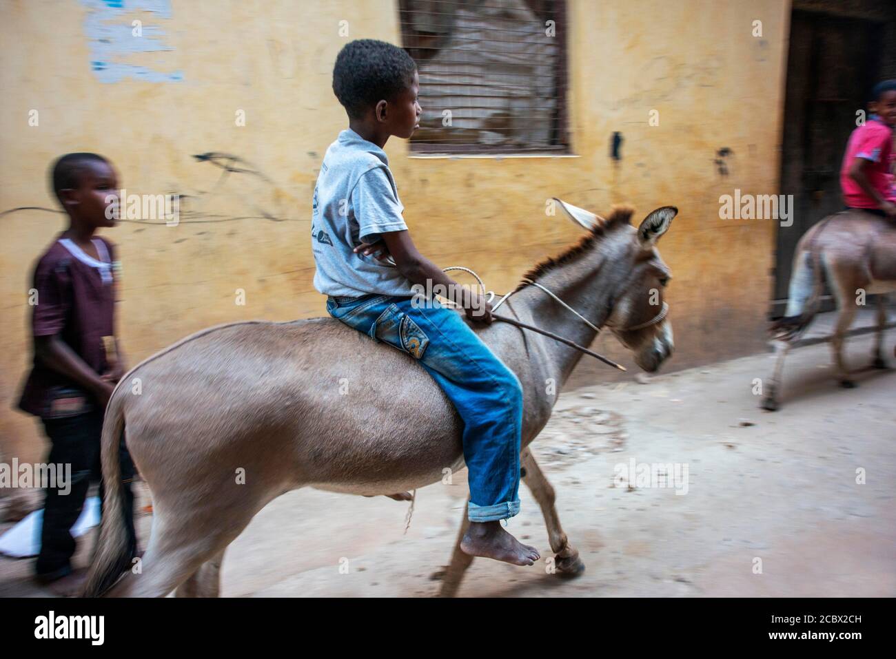 Boy with donkey in lamu town hi-res stock photography and images - Alamy