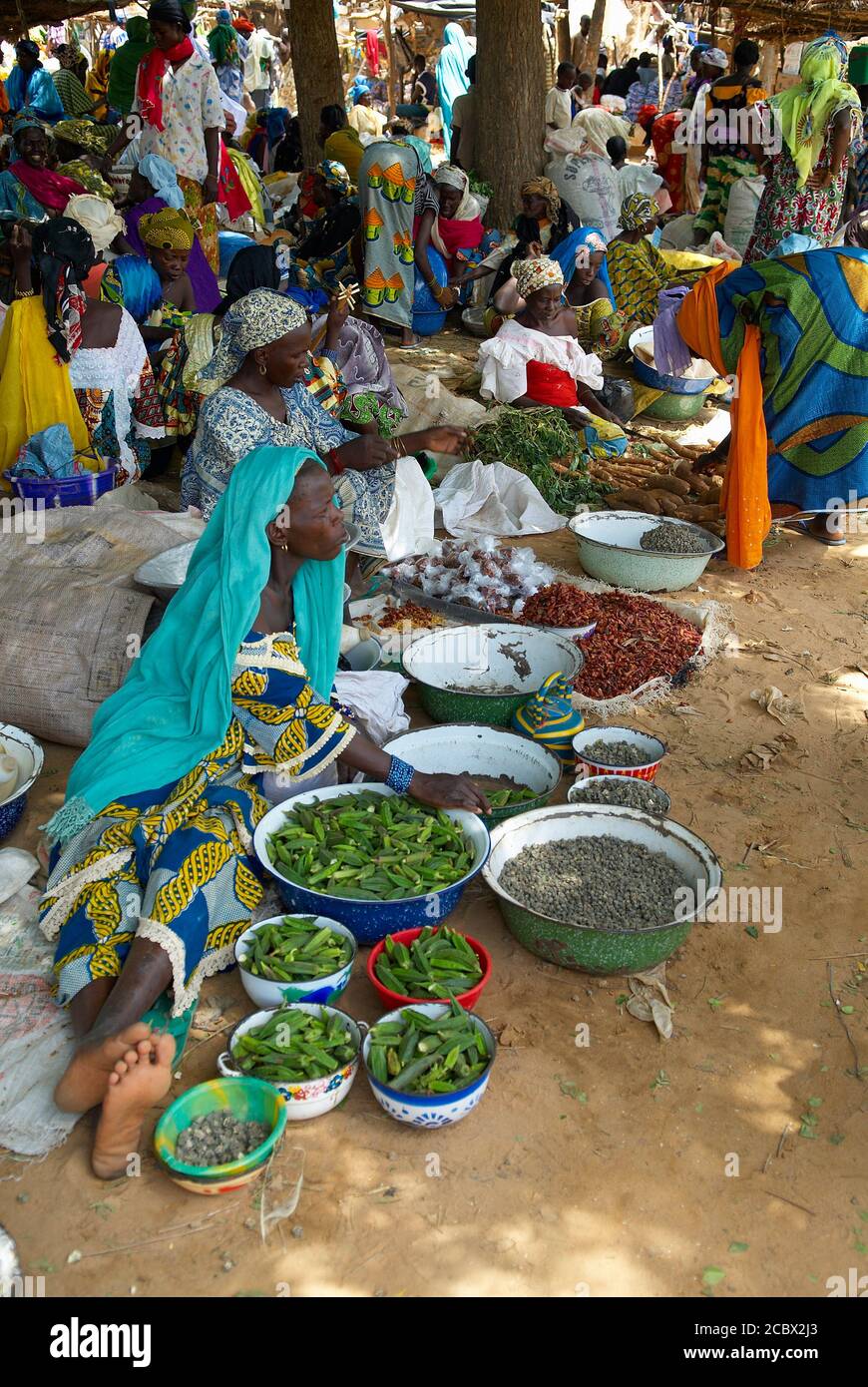 Niger. Wednesday market at Boubon about 40km ouest of Niamey on the ...