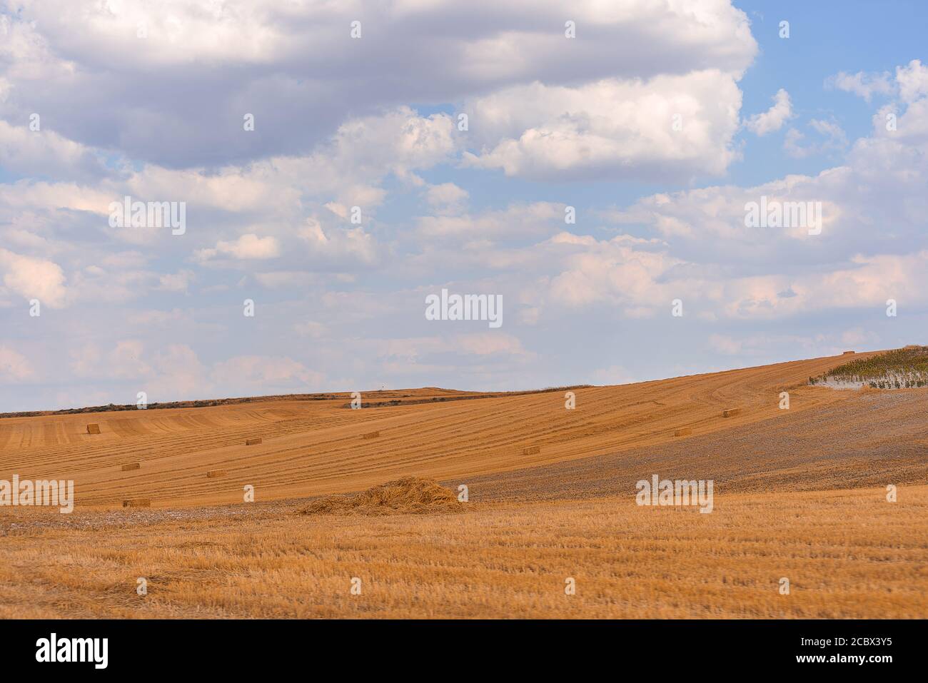 spanish agriculture fields in summer Stock Photo - Alamy