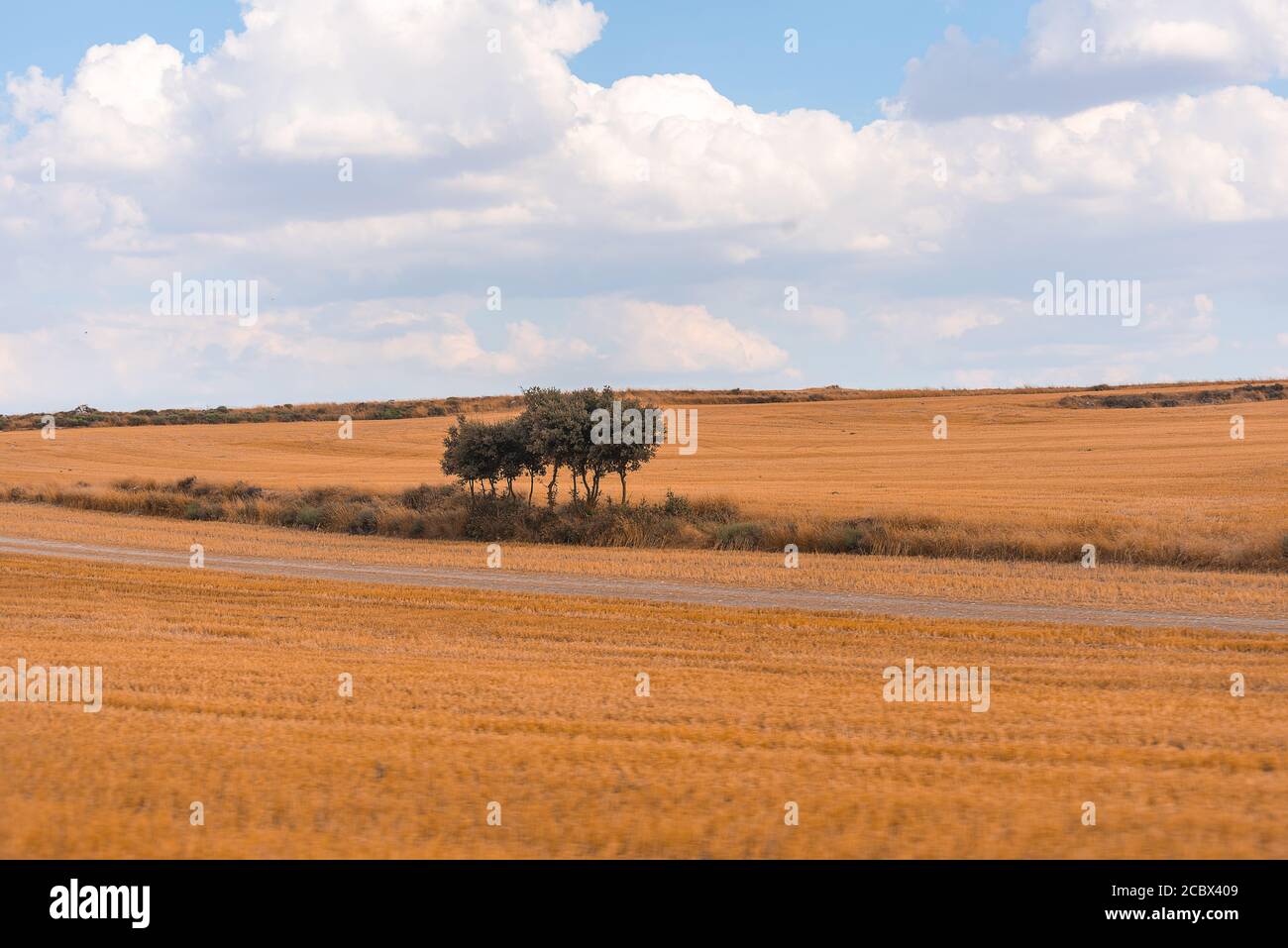 spanish agriculture fields in summer Stock Photo - Alamy