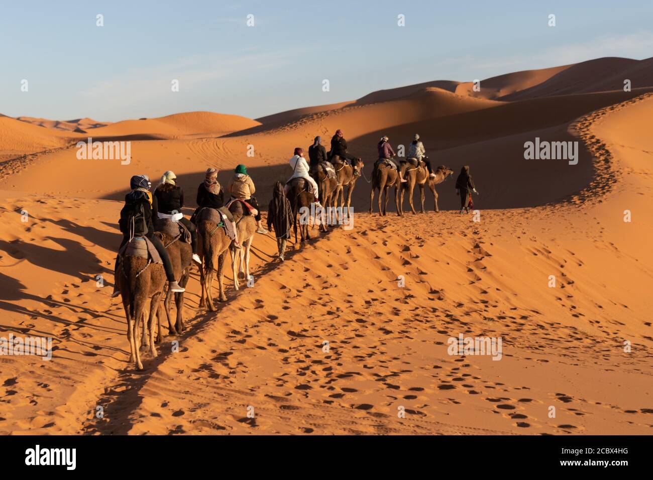 Morocco in the evening with camels hi-res stock photography and images ...