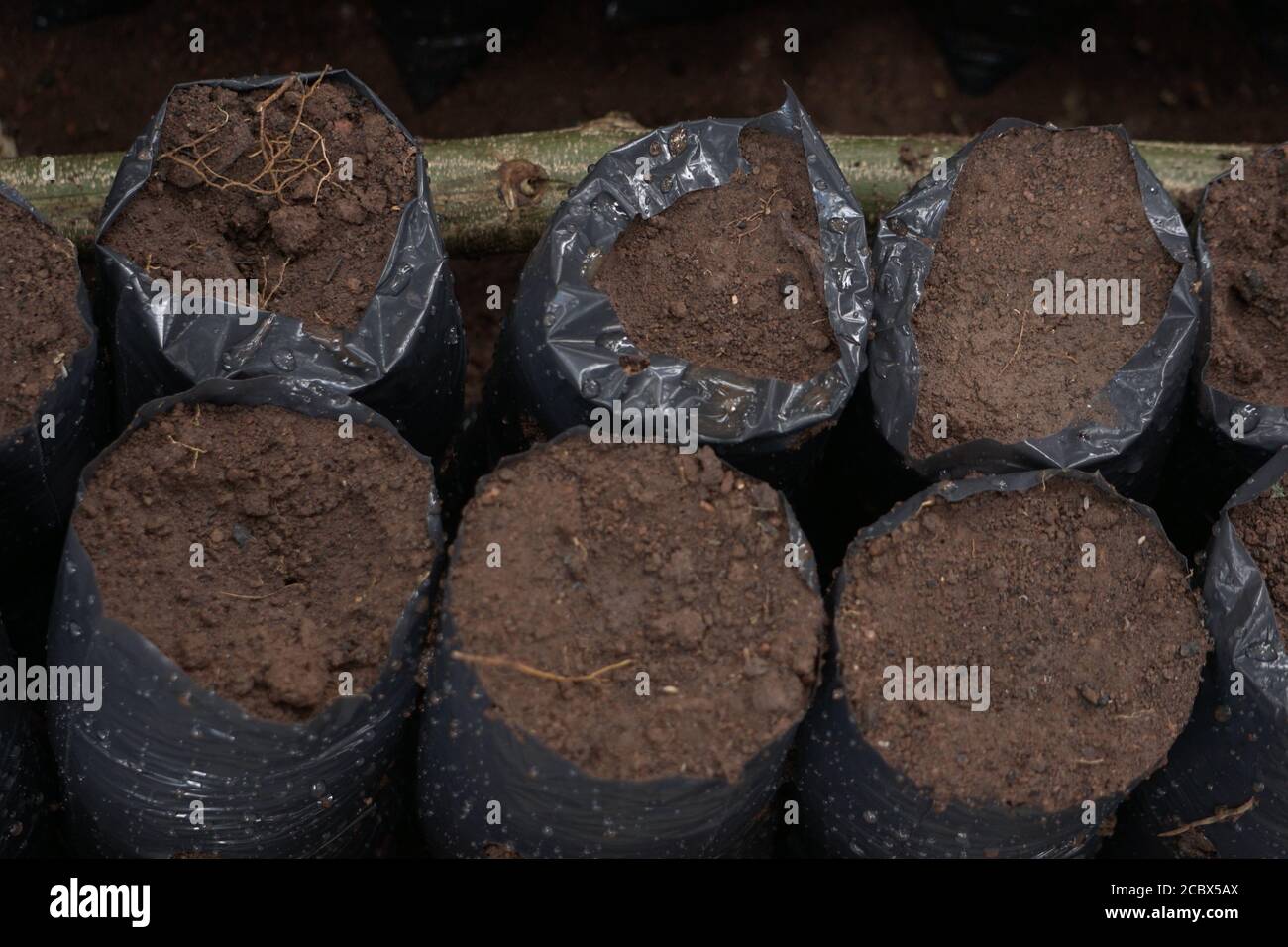 Daloa hi-res stock photography and images - Alamy