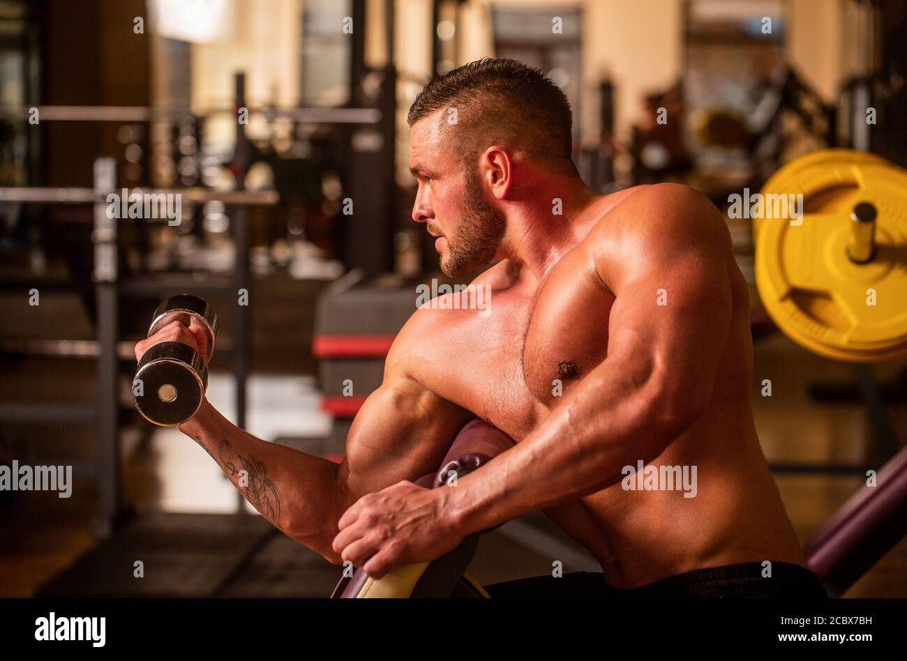 Man bodybuilder doing exercises with dumbbells. Fitness man lifting ...