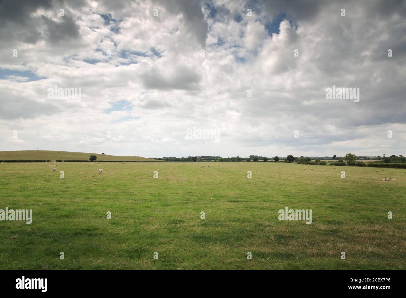 sheep grazing in a large field outside the village of Chesterton in ...