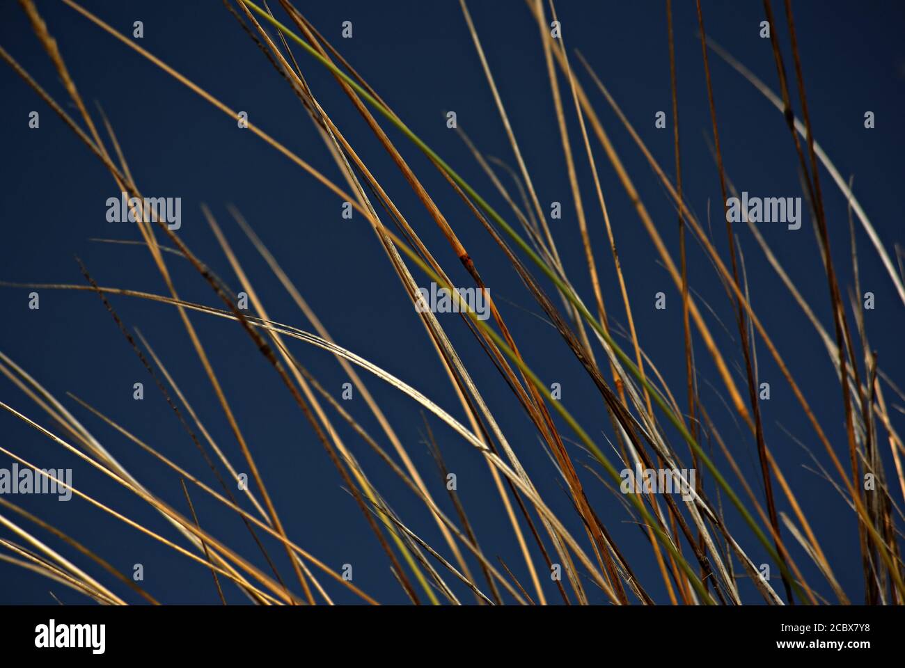Clear country dry hi-res stock photography and images - Alamy