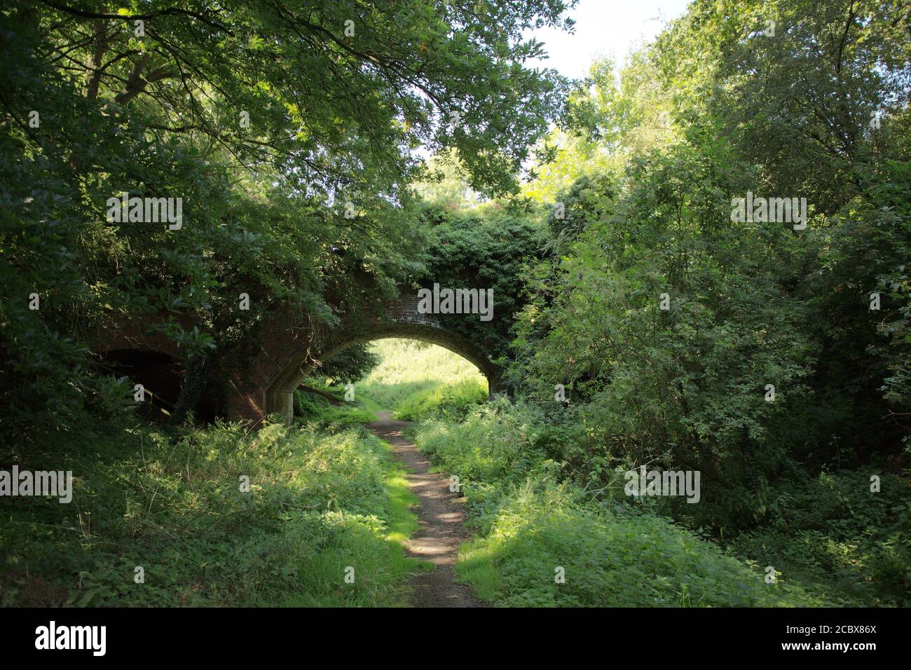 Stone path in overgrown grass hi-res stock photography and images - Alamy