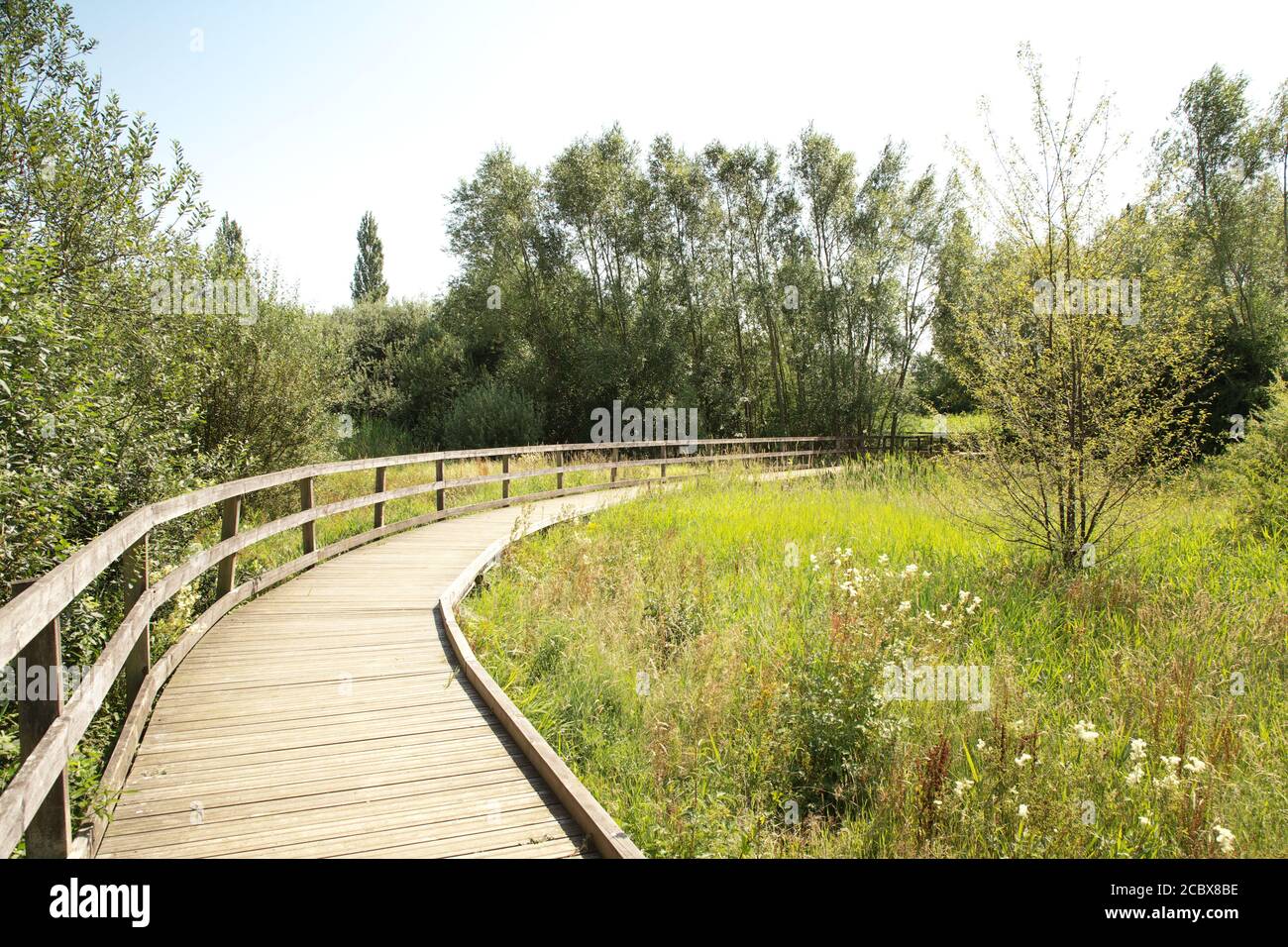 Wooden pathway in Hanwell Brook Wetland in oxfordshire england Stock ...