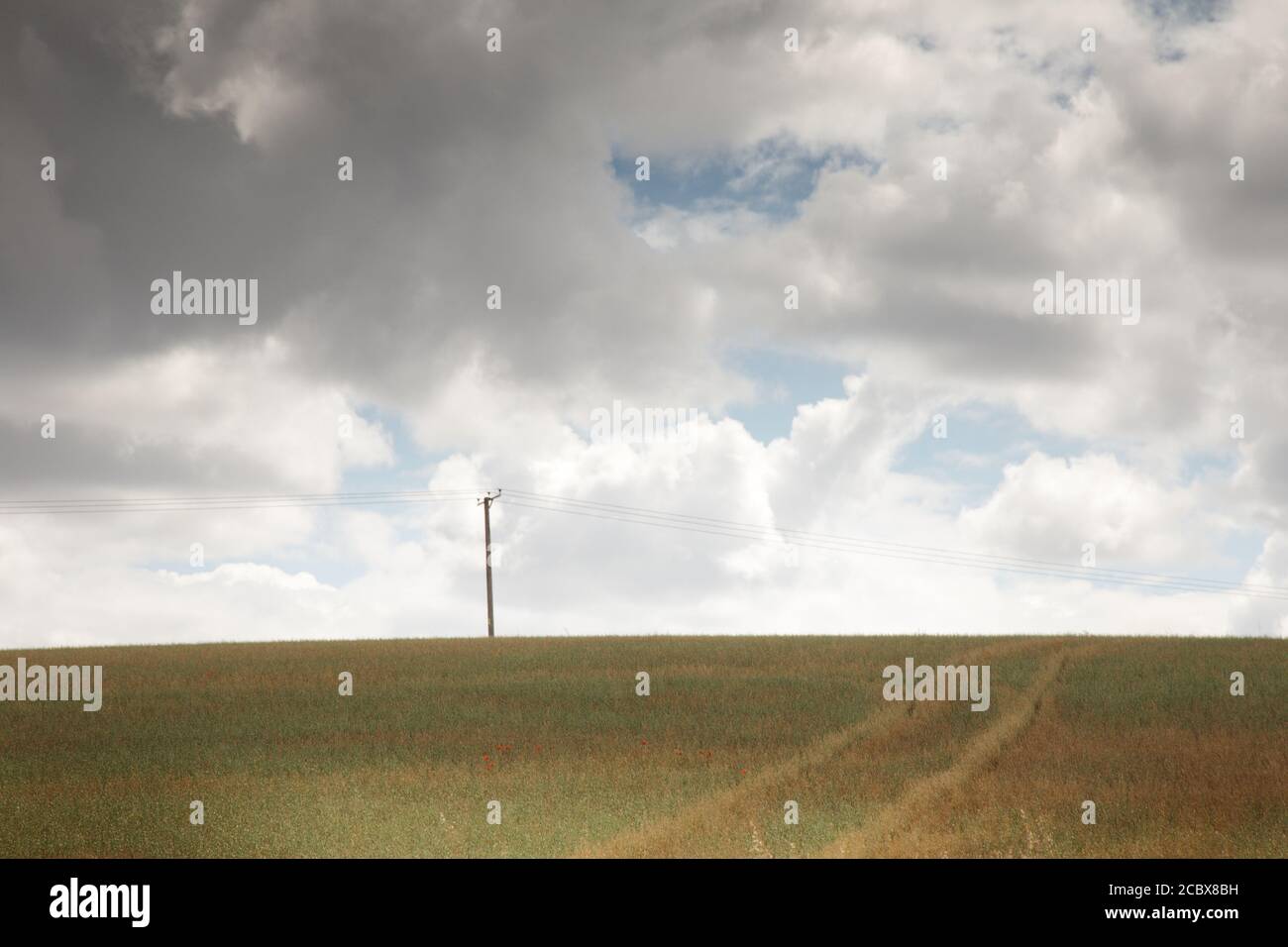 Power lines on farmland hi-res stock photography and images - Alamy