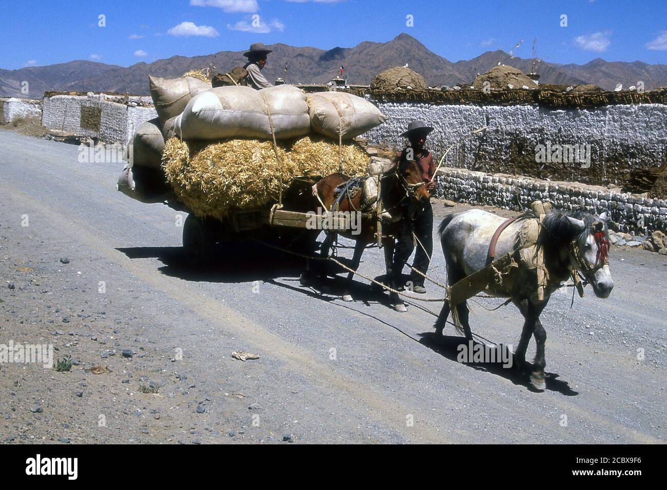 TIBET - HEAVILY LADEN CART ON ITS WAY TO MARKET Stock Photo - Alamy