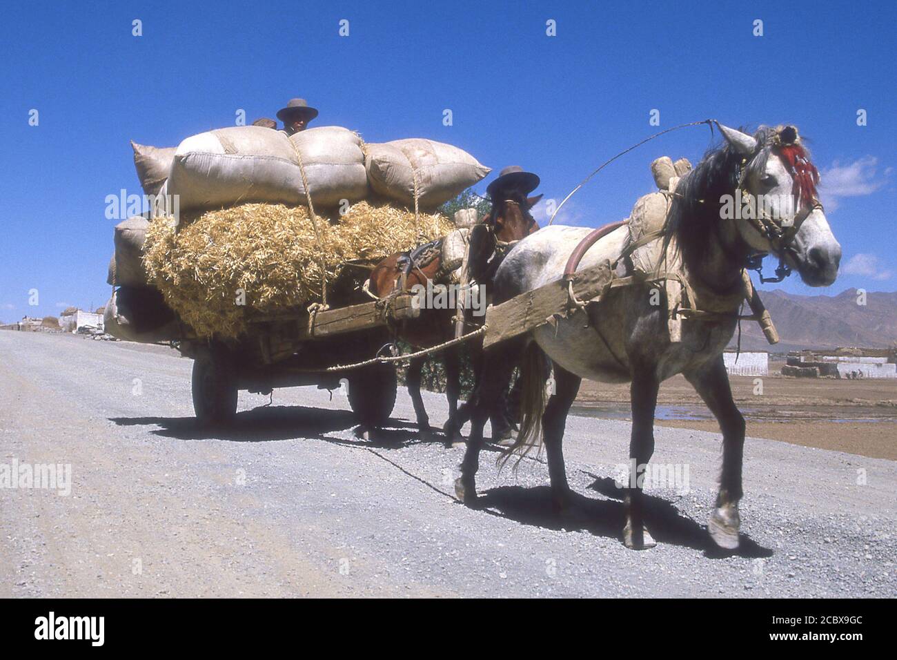 TIBET - HEAVILY LADEN CART ON ITS WAY TO MARKET Stock Photo - Alamy