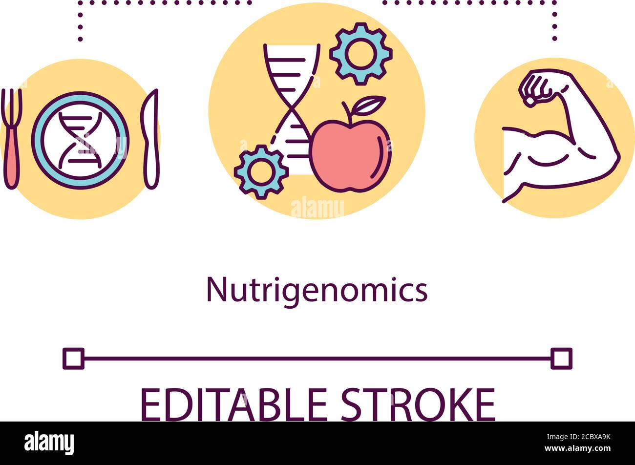 Nutrigenomics vector vectors hi-res stock photography and images - Alamy