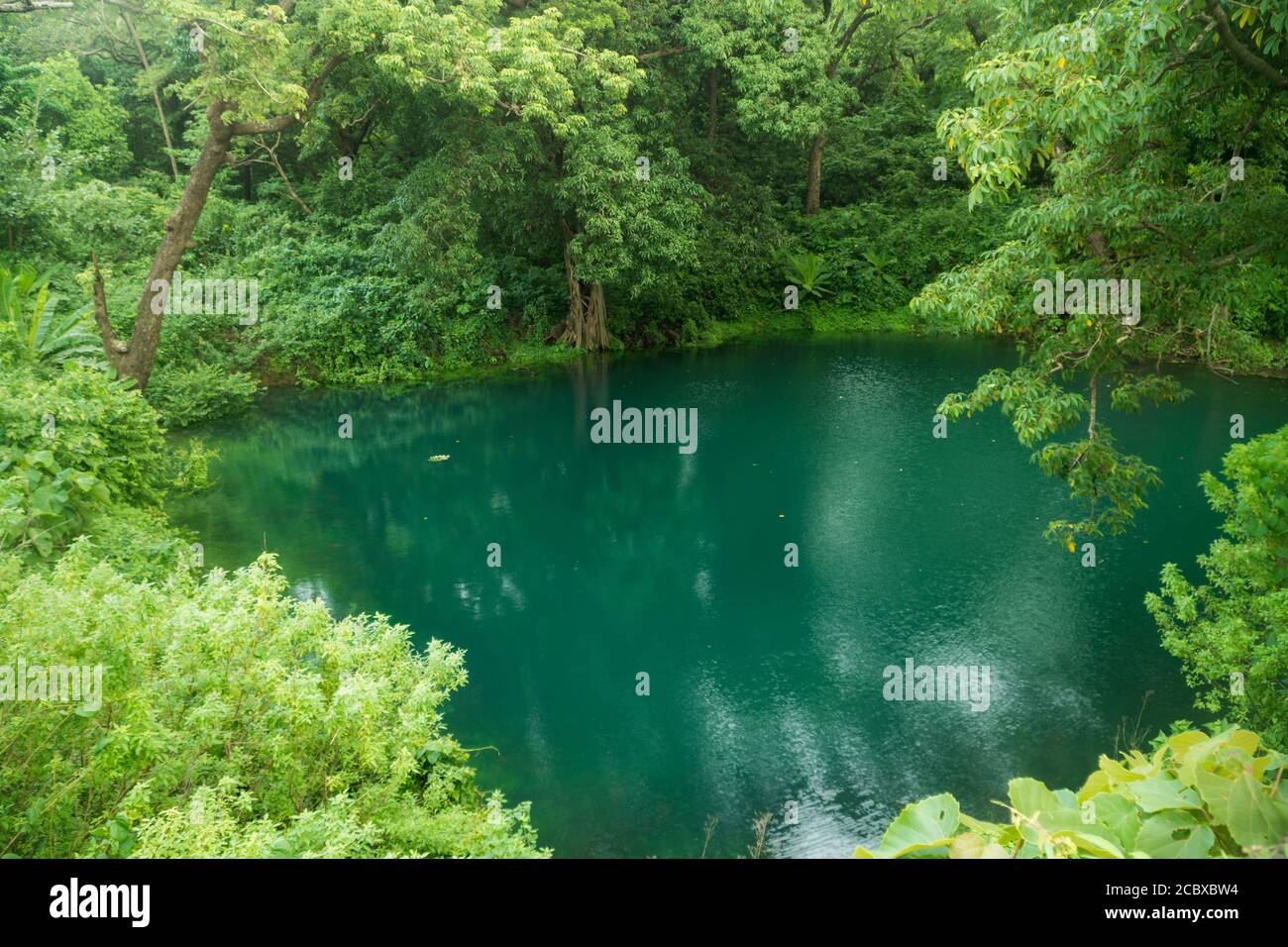 A lovely turquoise green natural pool surrounded by the lush green ...