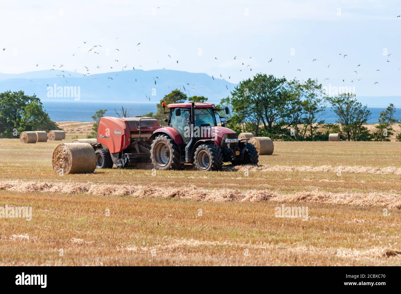 West Kilbride, Scotland, UK. 16th August 2020. A tractor towing a hay ...