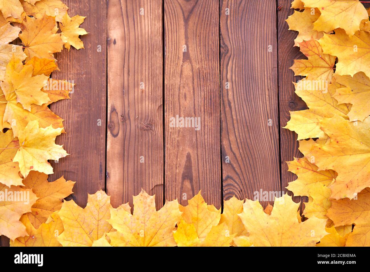 Autumn leaves frame on wooden background top view Fall Border yellow ...