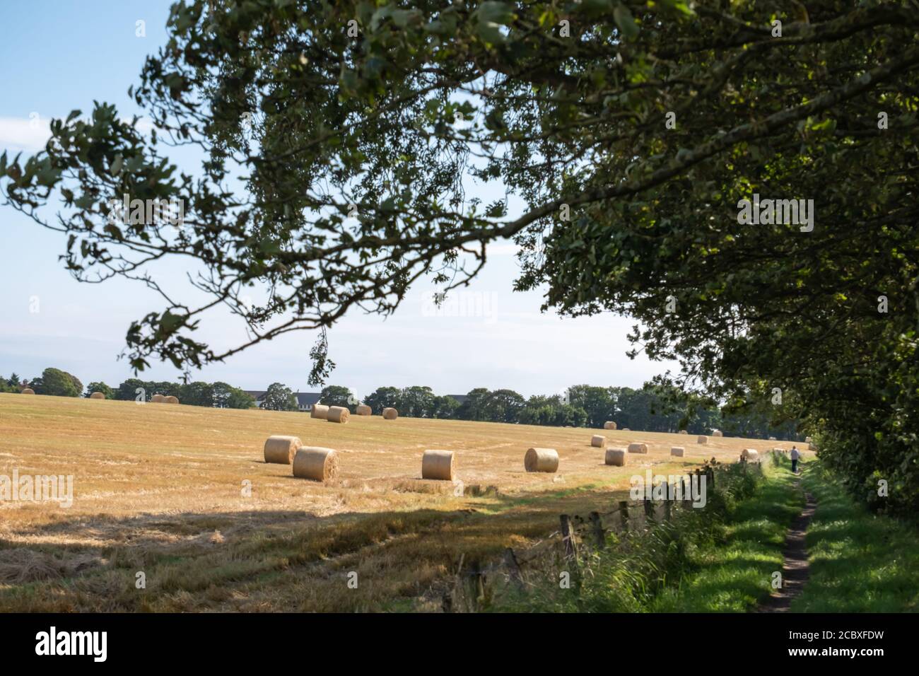 West Kilbride, Scotland, UK. 16th August 2020. Haymaking on a coastal ...