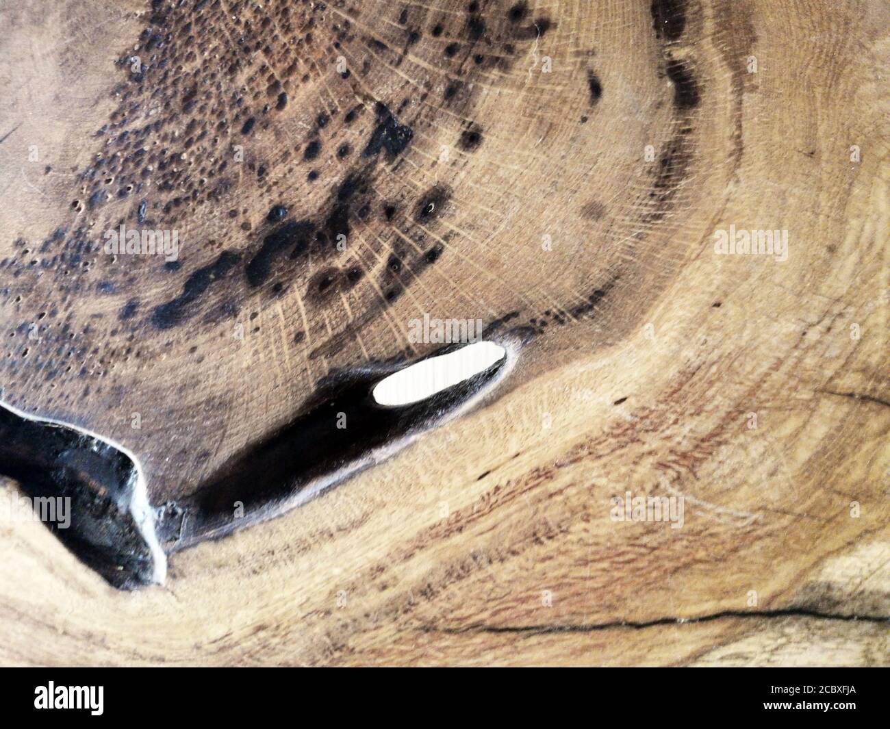 Concept image. Texture cut wood. Beautiful wooden background Stock ...