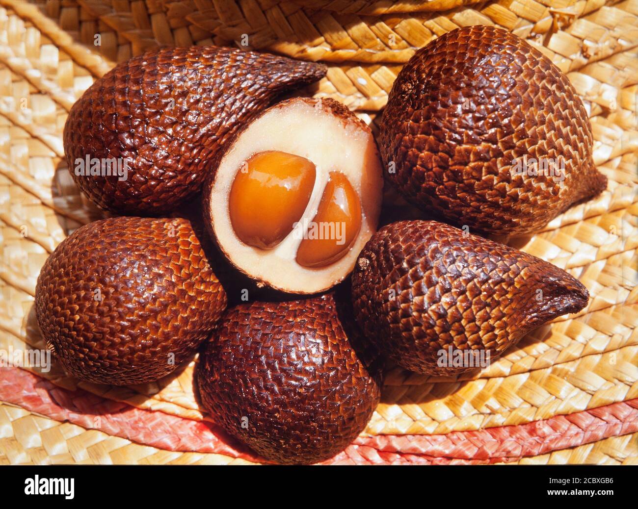 Snake fruit, Salacca zalacca, Malaysia Stock Photo - Alamy