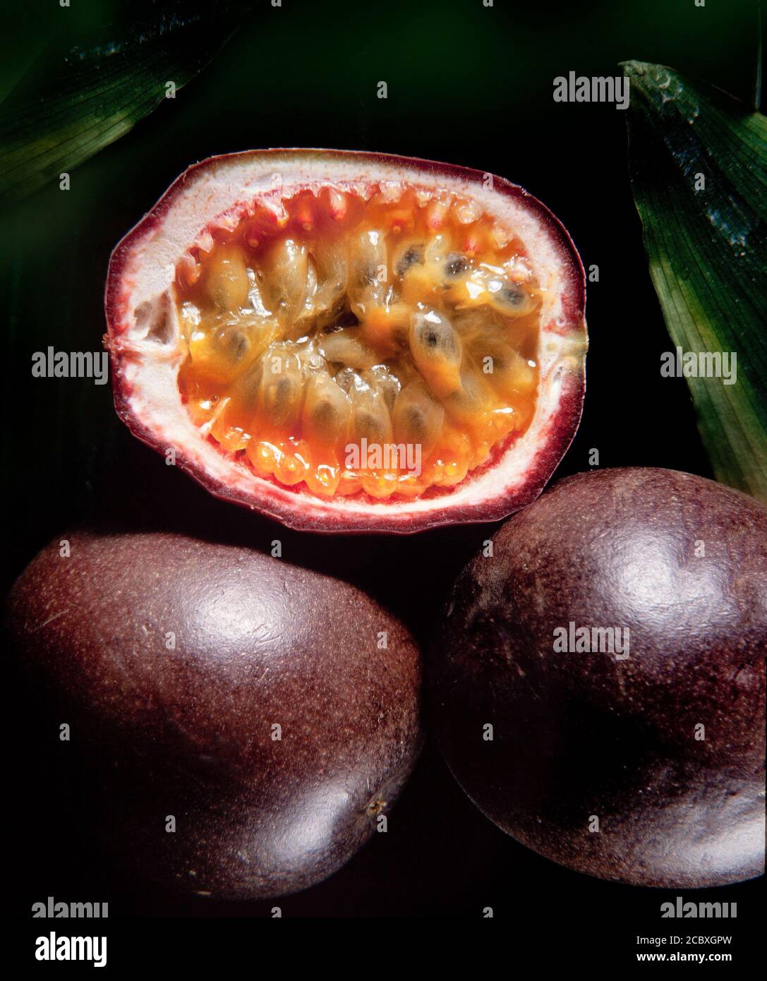 Pasiflora hi-res stock photography and images - Alamy