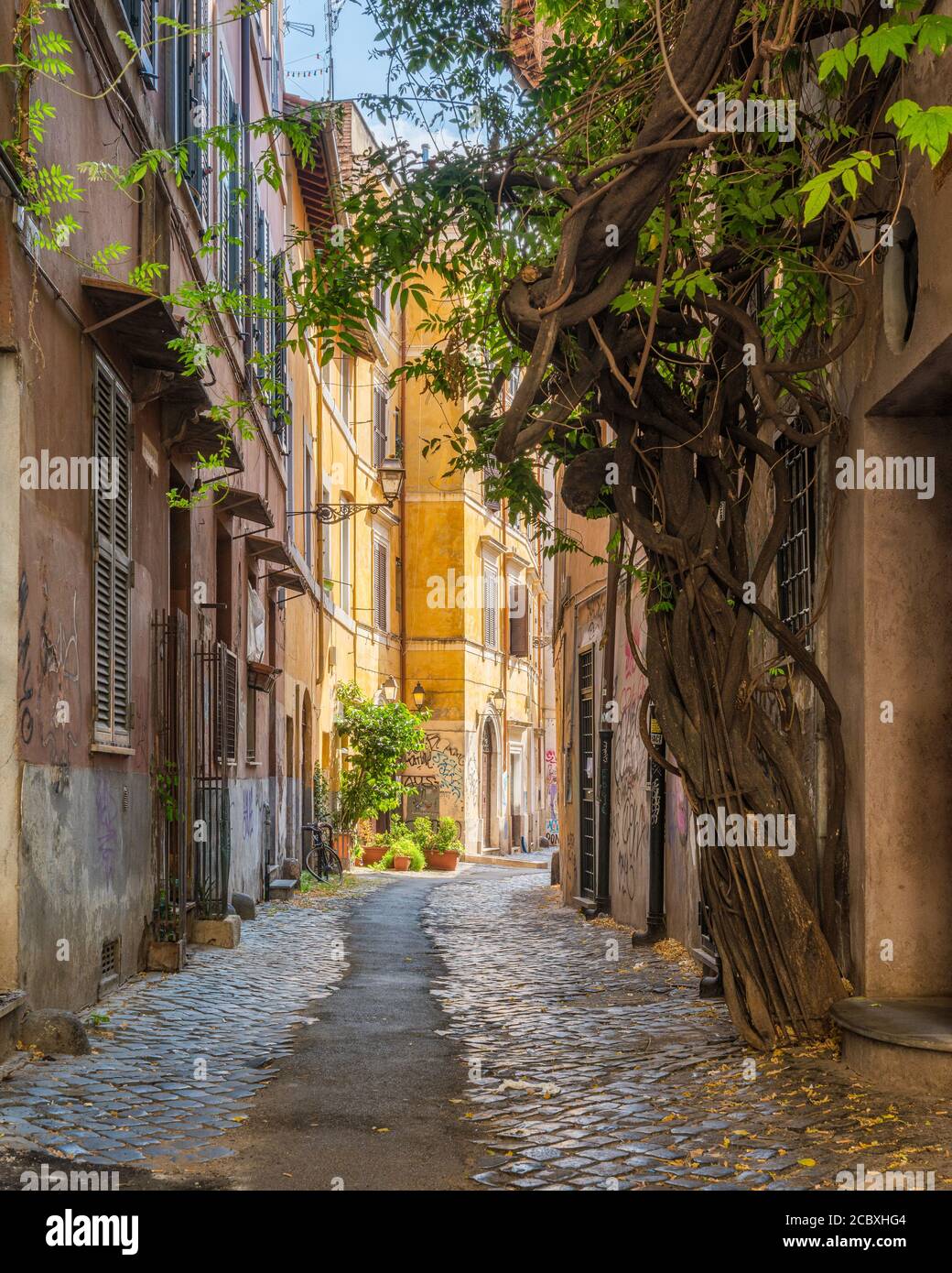 The picturesque Rione Trastevere on a summer morning, in Rome, Italy ...