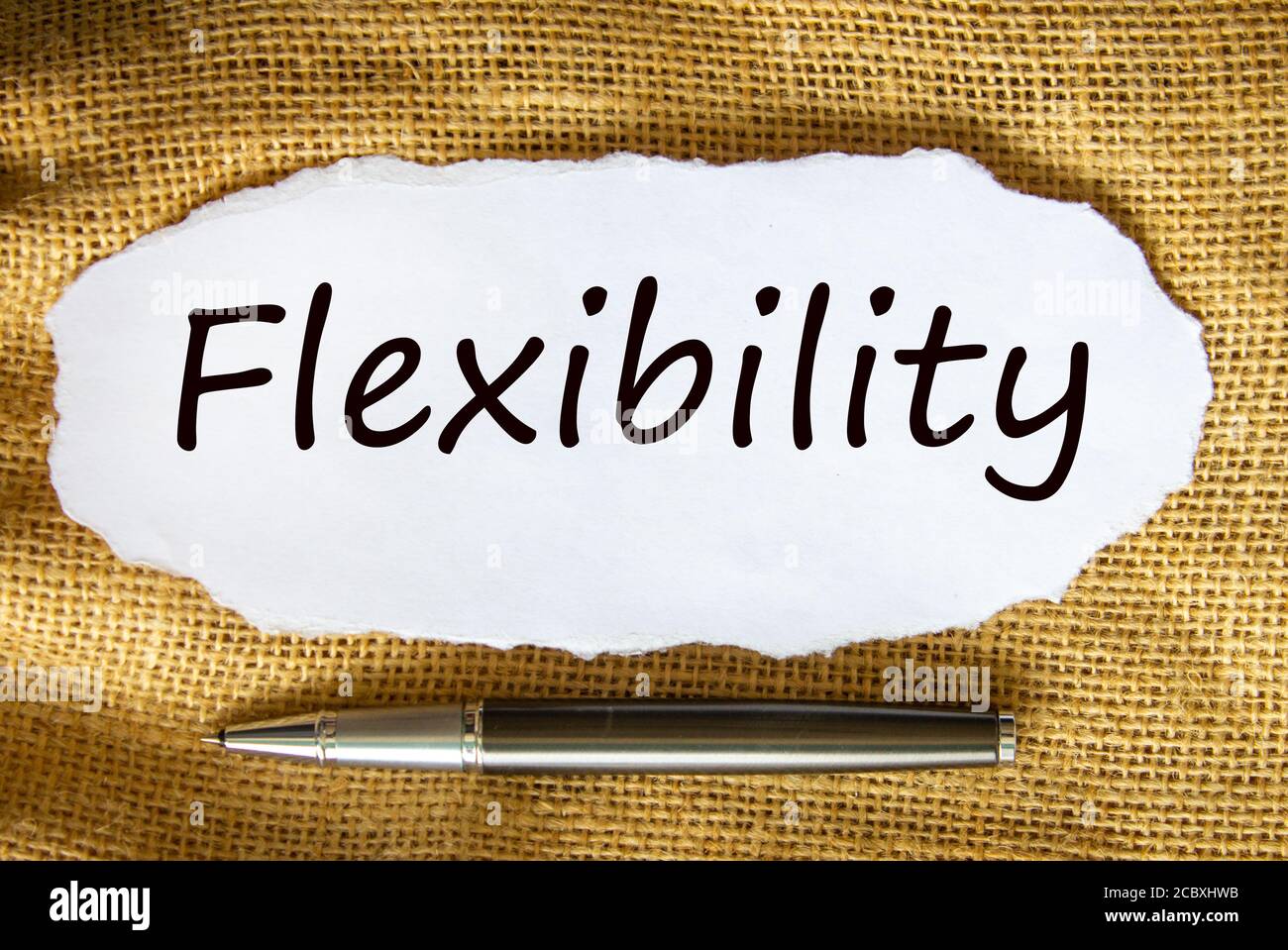 The text 'flexibility' on white paper. Metalic pen. Beautiful canvas ...