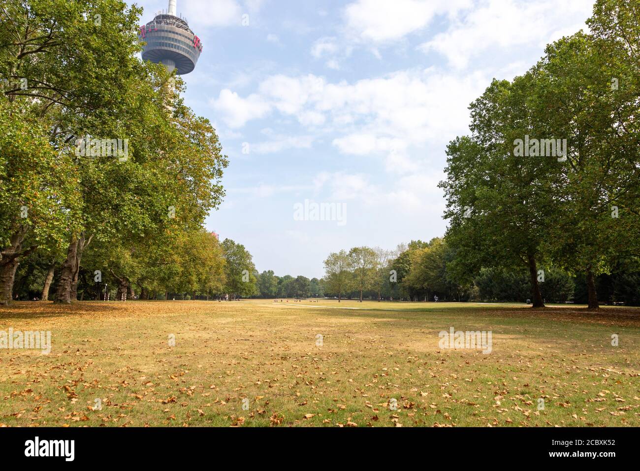 Park in Cologne with trees and dry meadow, people in the background ...