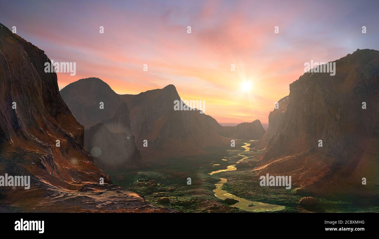 An early life form hi-res stock photography and images - Alamy