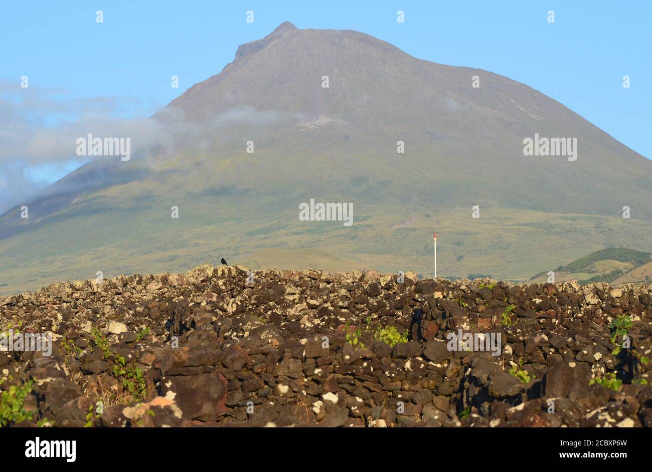 The conical Pico volcano looming over its namesake island, Azores ...