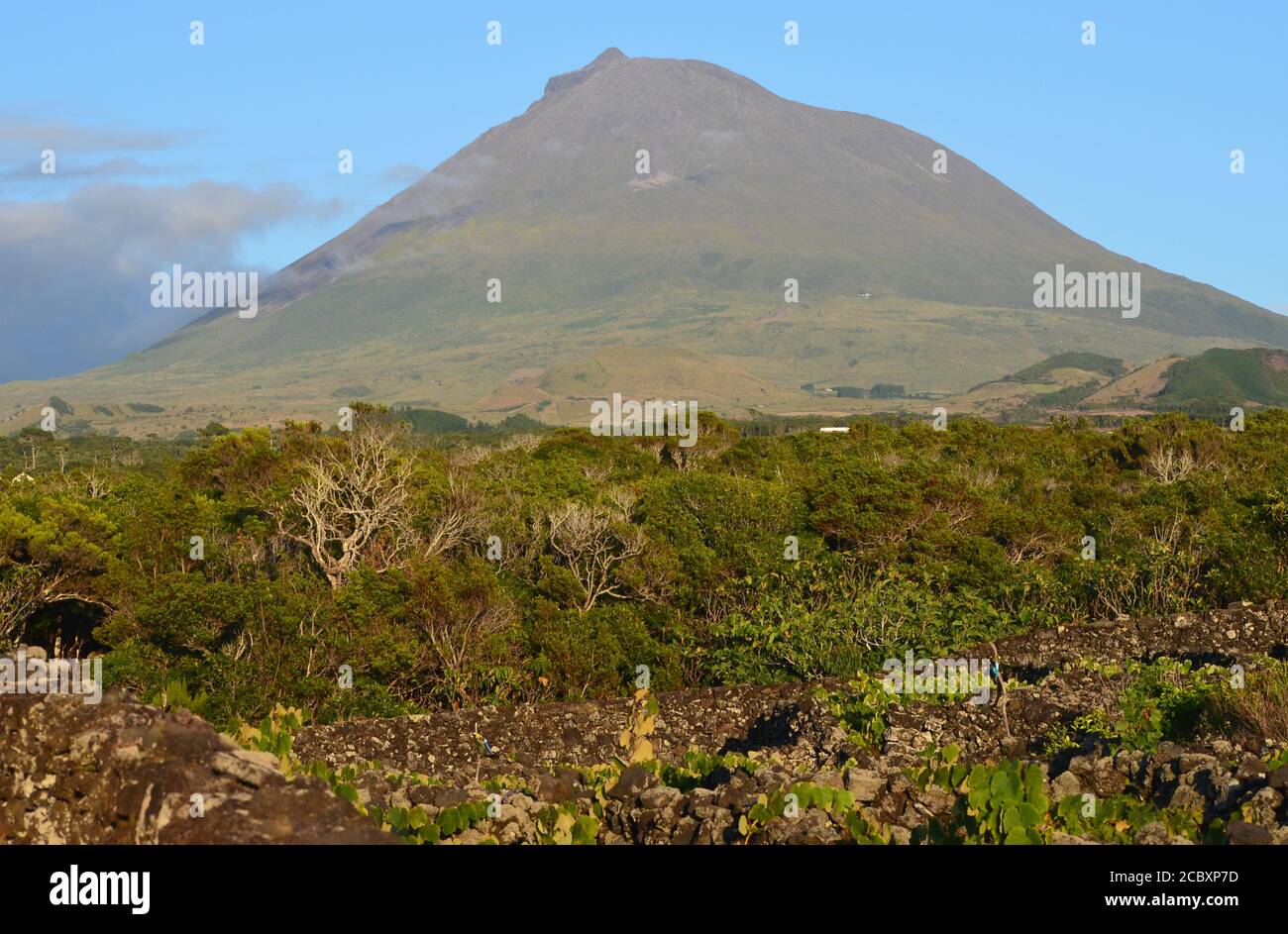 The conical Pico volcano looming over its namesake island, Azores ...