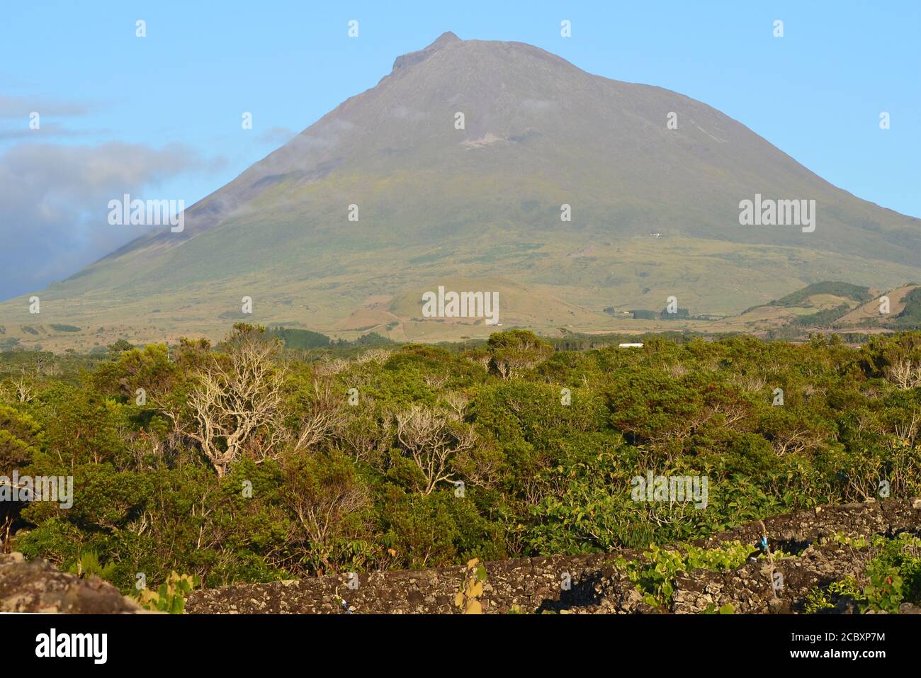 The conical Pico volcano looming over its namesake island, Azores ...