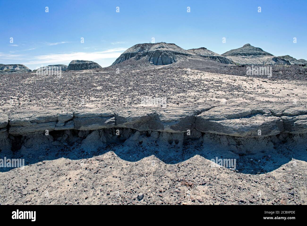 Dinosaur fossils site hi-res stock photography and images - Alamy
