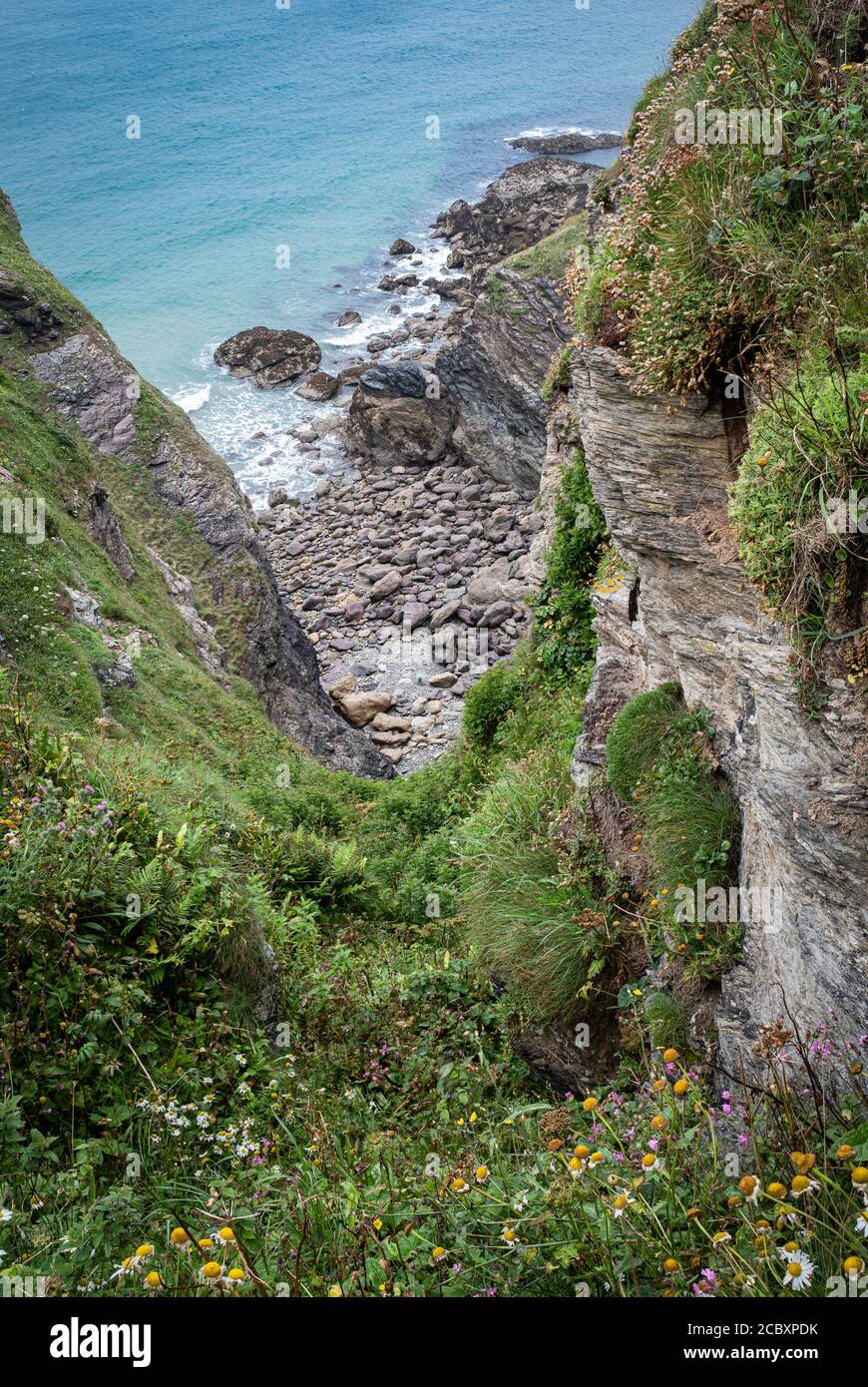 A small cove on the North Cornish coast path with wild flowers and a ...