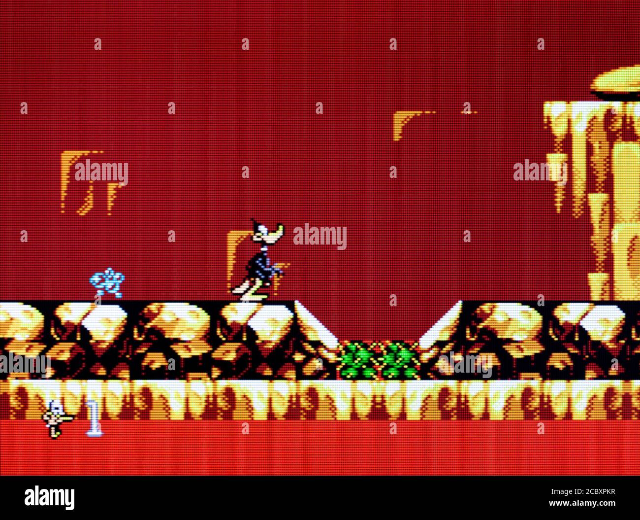 Daffy duck in hollywood hi-res stock photography and images - Alamy