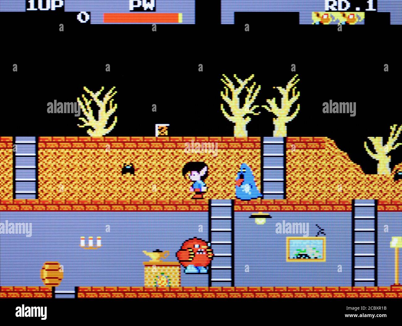 House system hi-res stock photography and images - Alamy