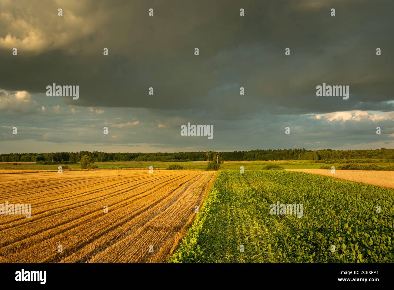 Clouds over fields hi-res stock photography and images - Alamy