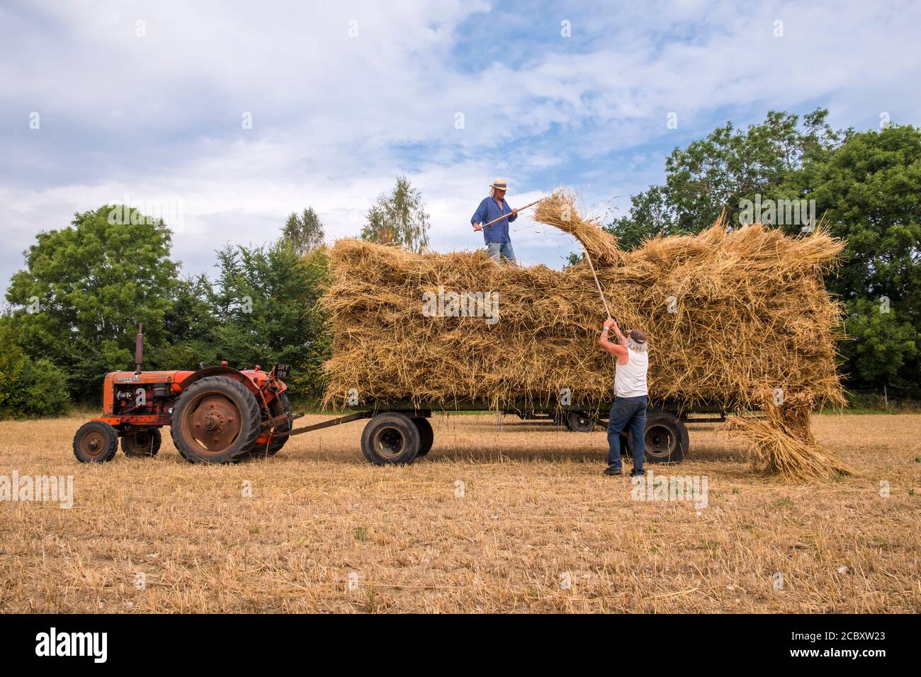 Sheaves of wheat hi-res stock photography and images - Alamy