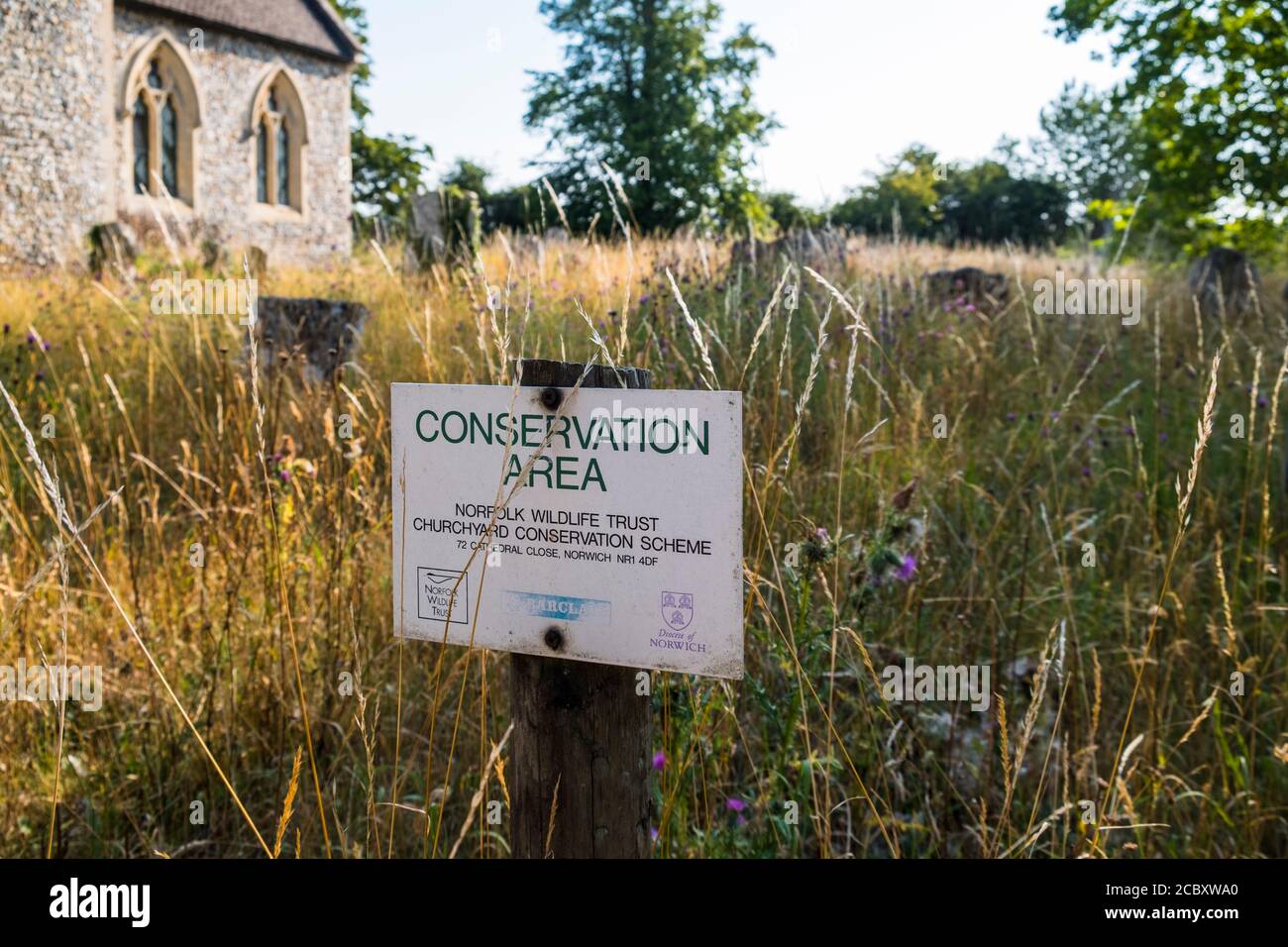 Conservation Area, Norfolk Wildlife Trust Churchyard Conservation ...