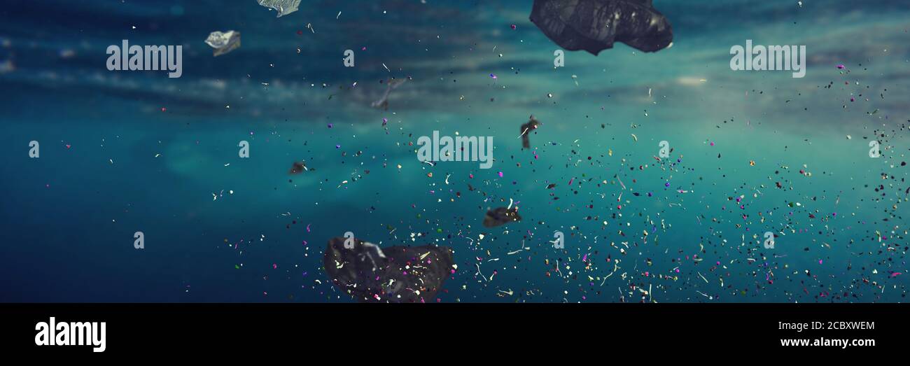 Microplastics sea life hi-res stock photography and images - Alamy