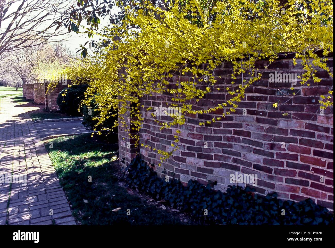 Curved brick wall hi-res stock photography and images - Alamy
