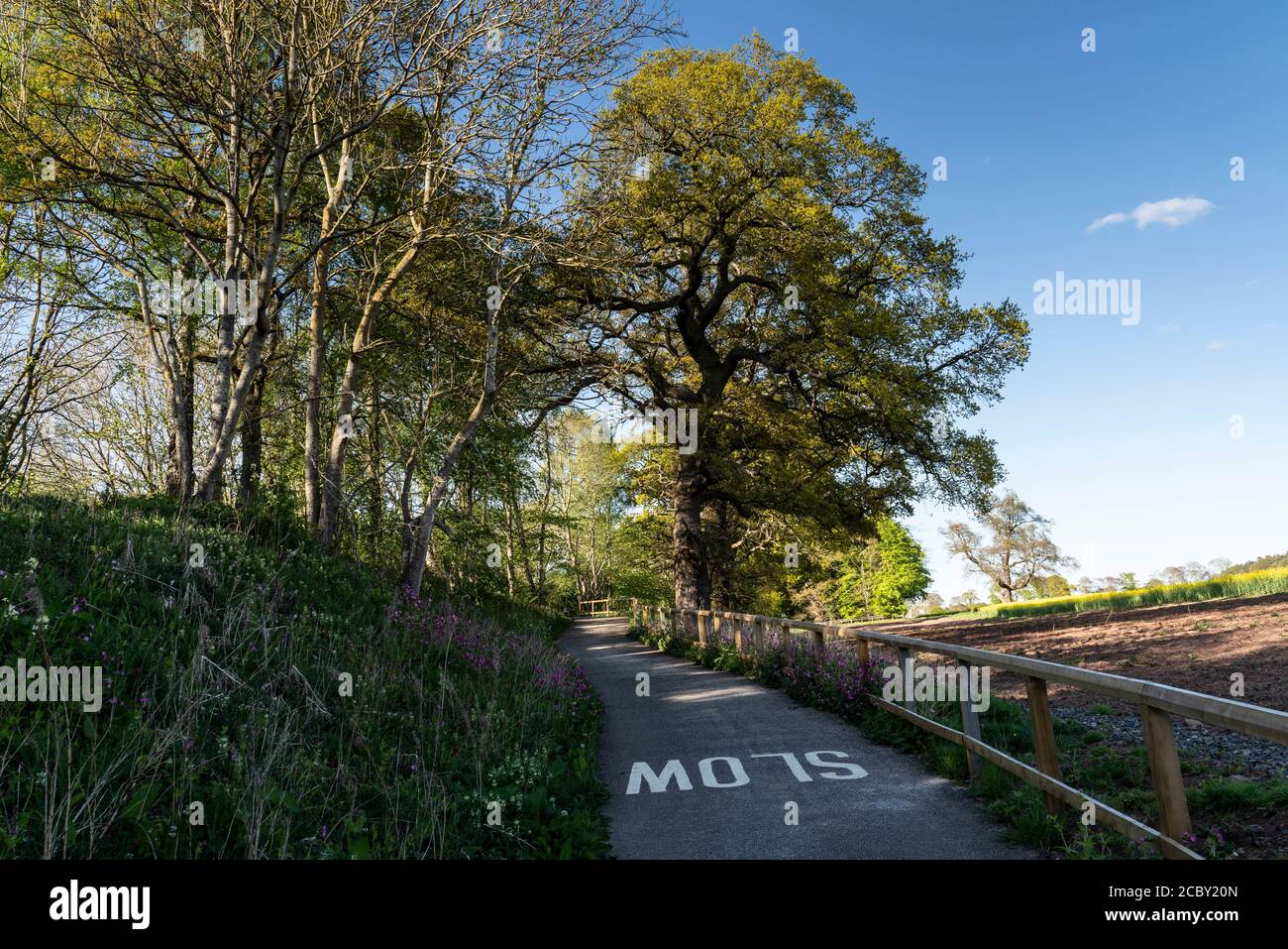 Borders railway route hi-res stock photography and images - Alamy