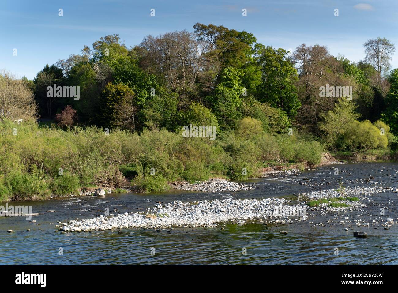 Fishing in the river tweed uk hi-res stock photography and images - Alamy