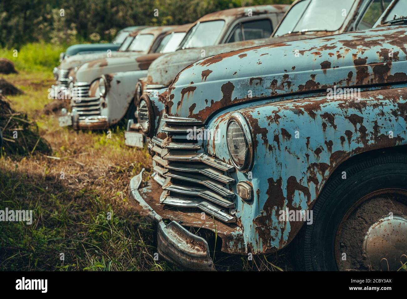 Old retro rusty abandoned cars in green grass Stock Photo - Alamy