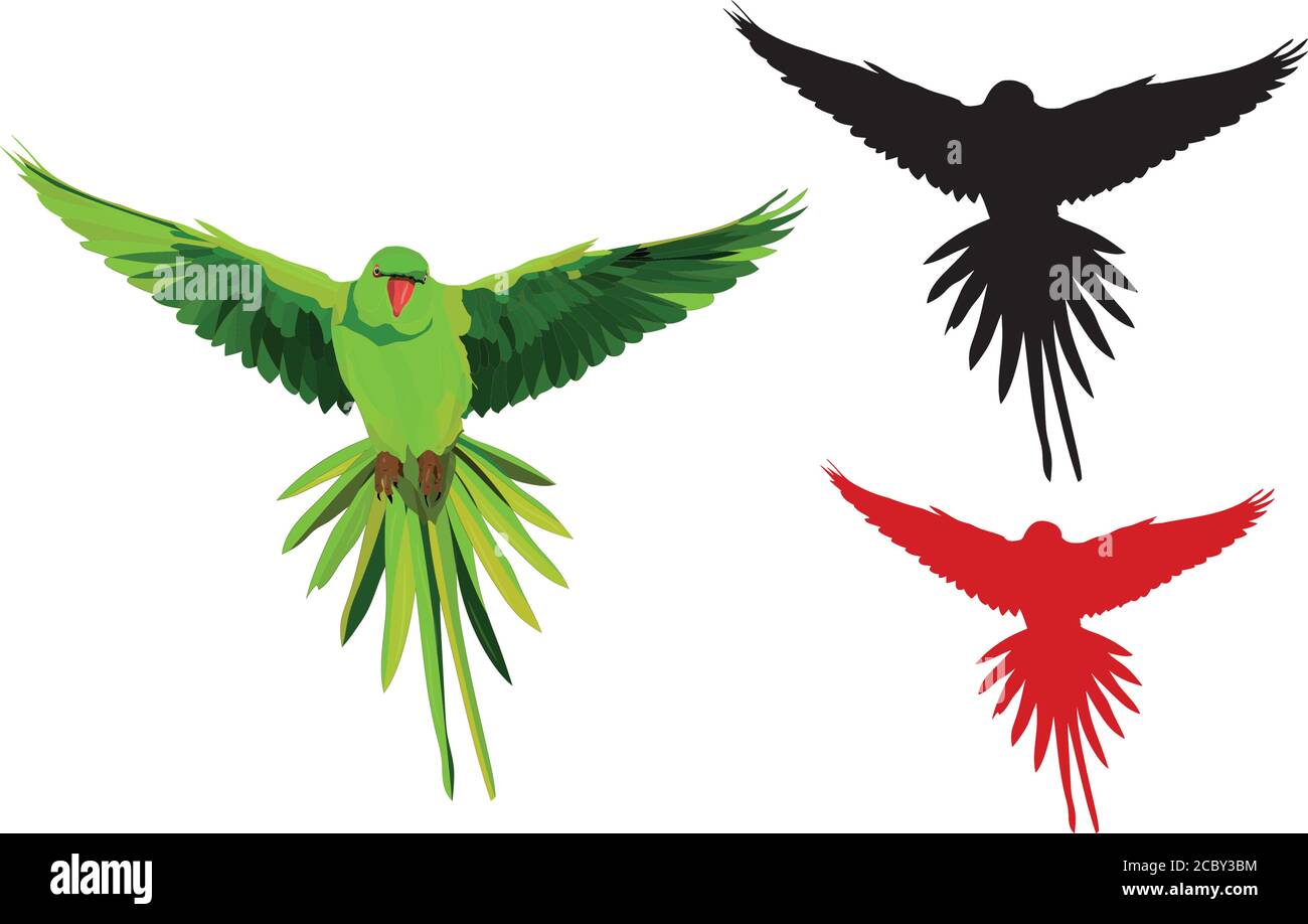 Flying bird. Vector birds. White background Stock Vector Image & Art ...